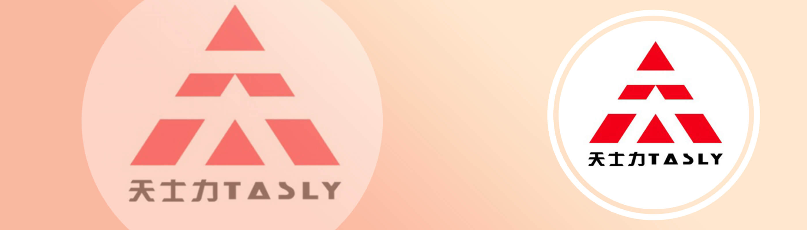 Tian Shi Li 天士力牌 – Kinhong Pte Ltd